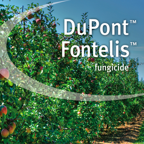 DuPont - Fontelis | Origin Branding