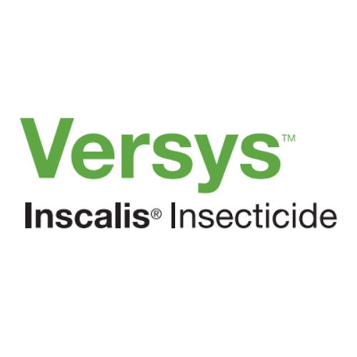 BASF - Inscalis (ai), Versys, Sefina, Ventrigra | Origin Branding